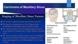 Nose-Nasal Cavity & Paranasal Sinuses BY Dr.Rabia Inam Gandapore.pptx