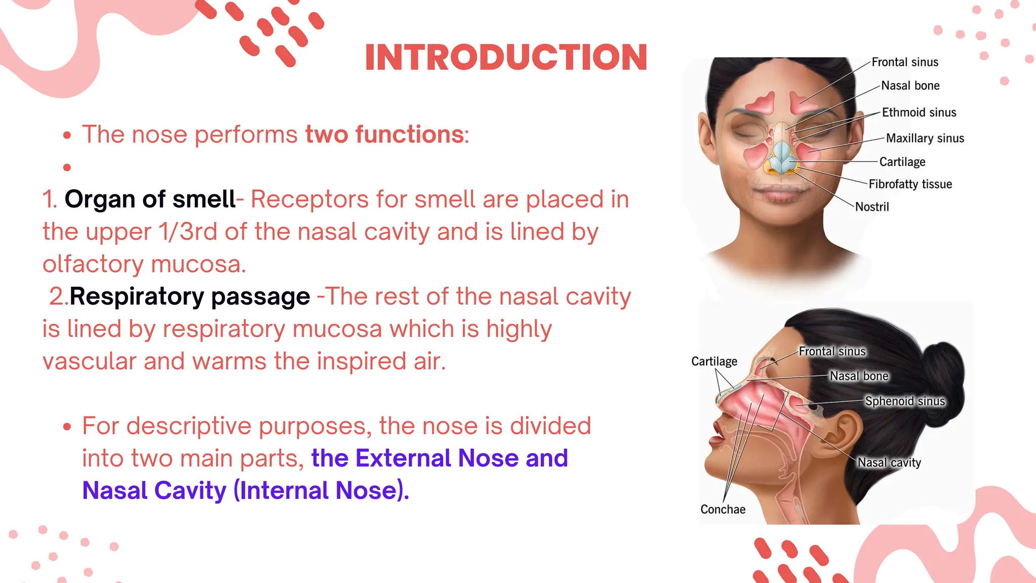 NOSE ANATOMY with complete description.pdf