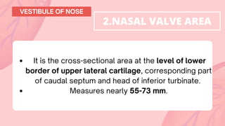 NOSE ANATOMY with complete description.pdf