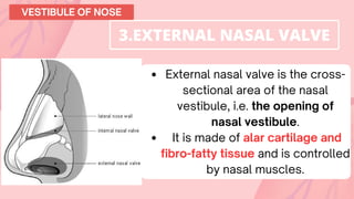 NOSE ANATOMY with complete description.pdf