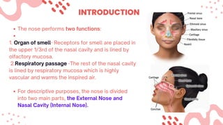 NOSE ANATOMY with complete description.pdf