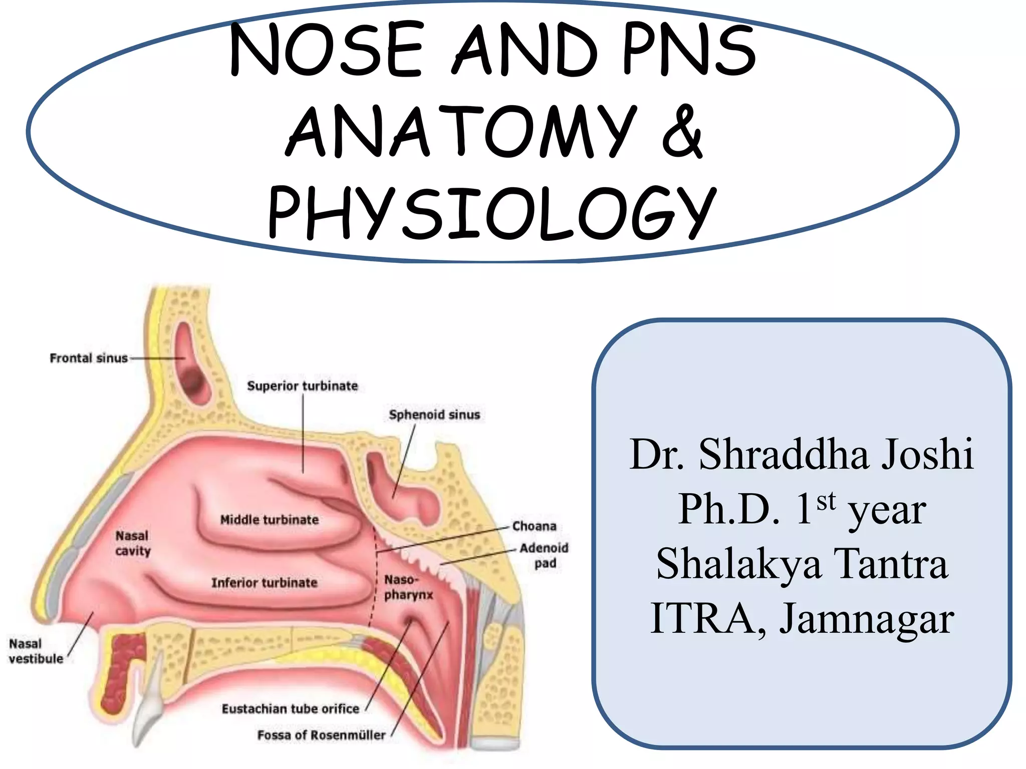 Nose anatomy and physiology | PPTX