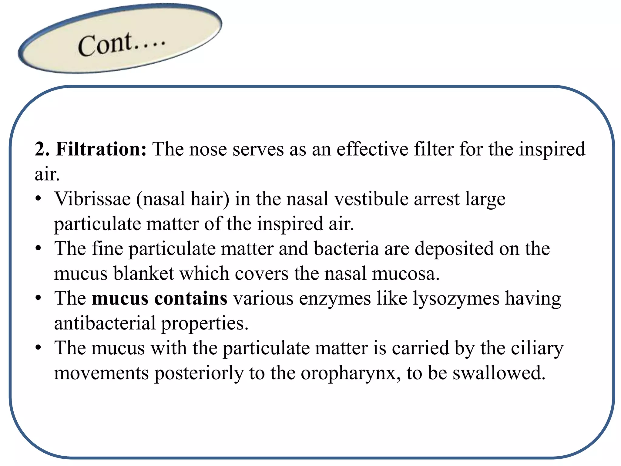 Nose anatomy and physiology | PPTX