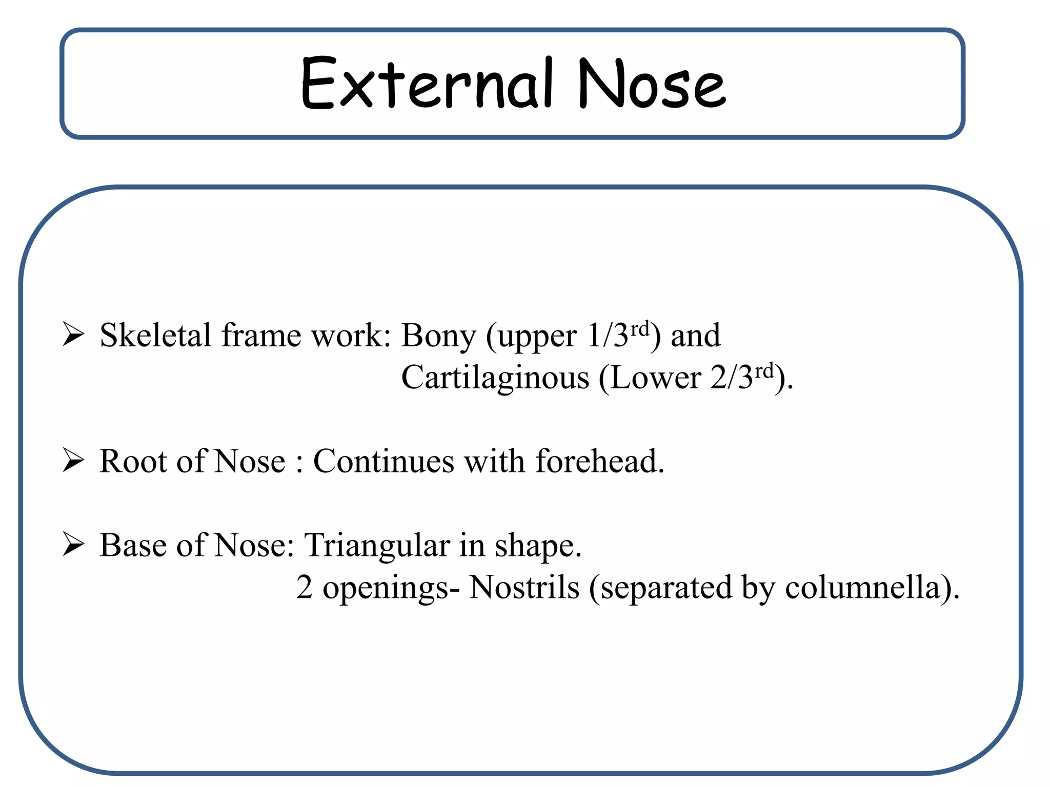 Nose anatomy and physiology | PPTX