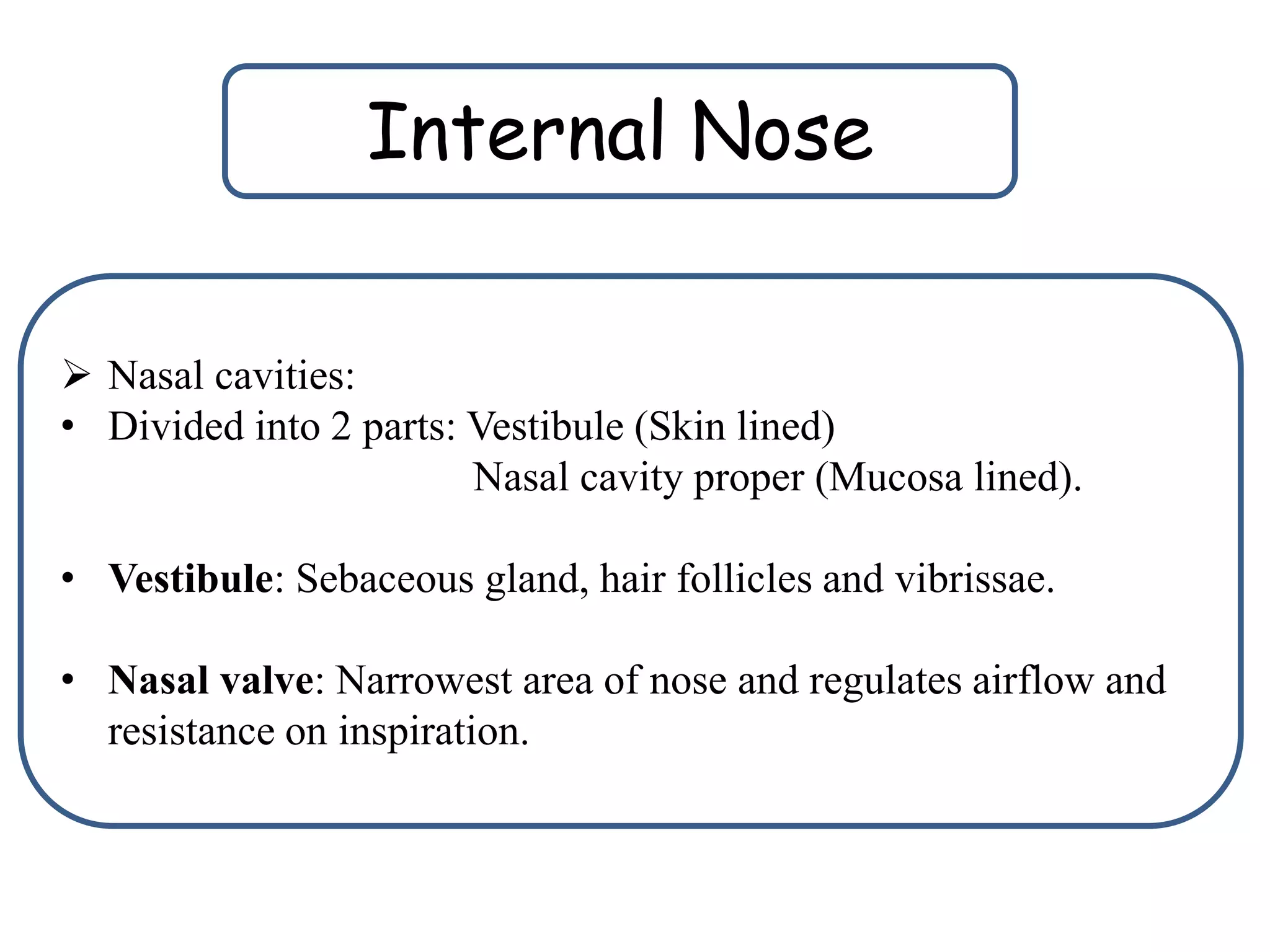 Nose anatomy and physiology | PPTX