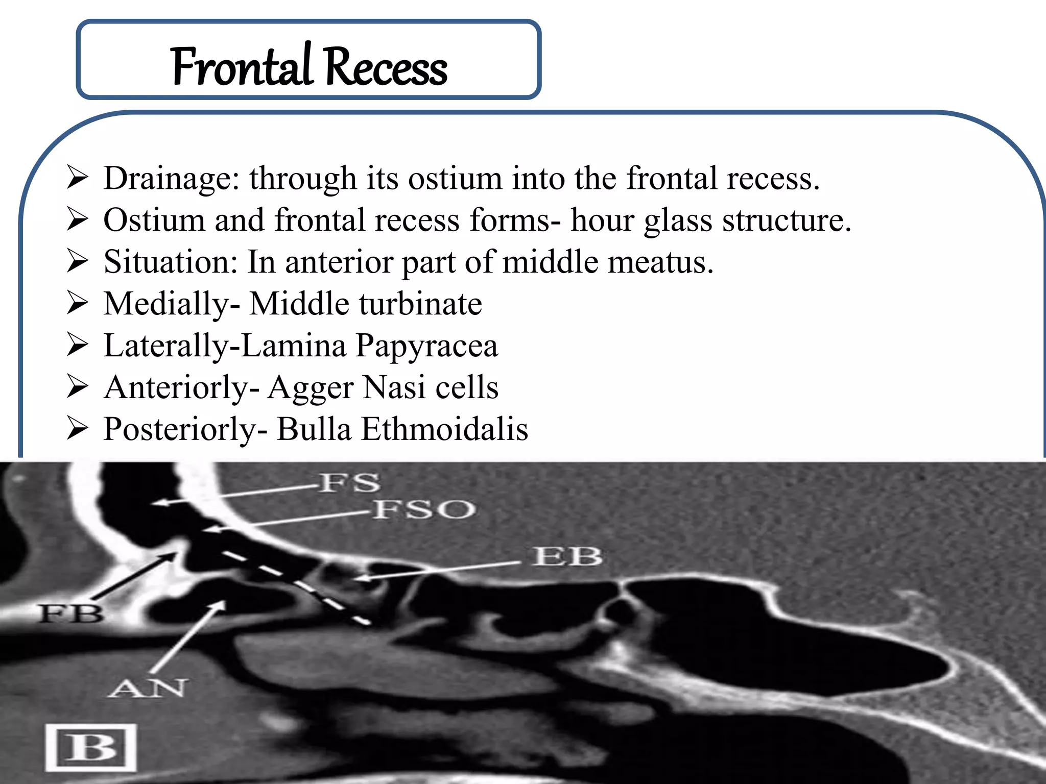 Nose anatomy and physiology | PPTX