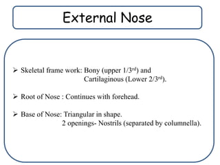 Nose anatomy and physiology | PPTX