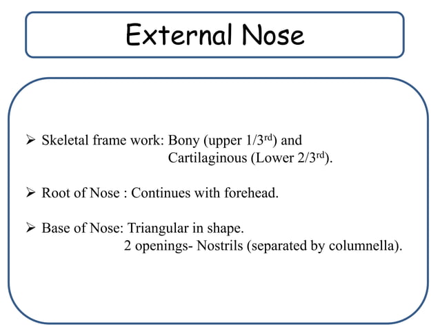 Nose anatomy and physiology | PPTX