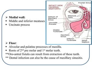 Nose anatomy and physiology | PPTX