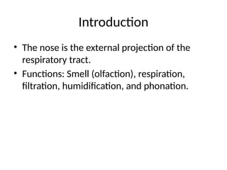 Nose_Anatomy_Presentation 232345677.pptx