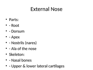 Nose_Anatomy_Presentation 232345677.pptx