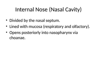 Nose_Anatomy_Presentation 232345677.pptx