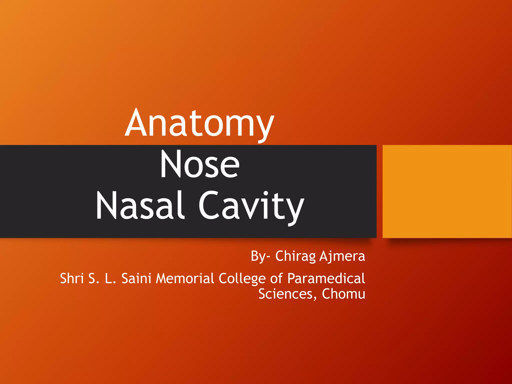 Nose and nasal cavity anatomy | PPTX