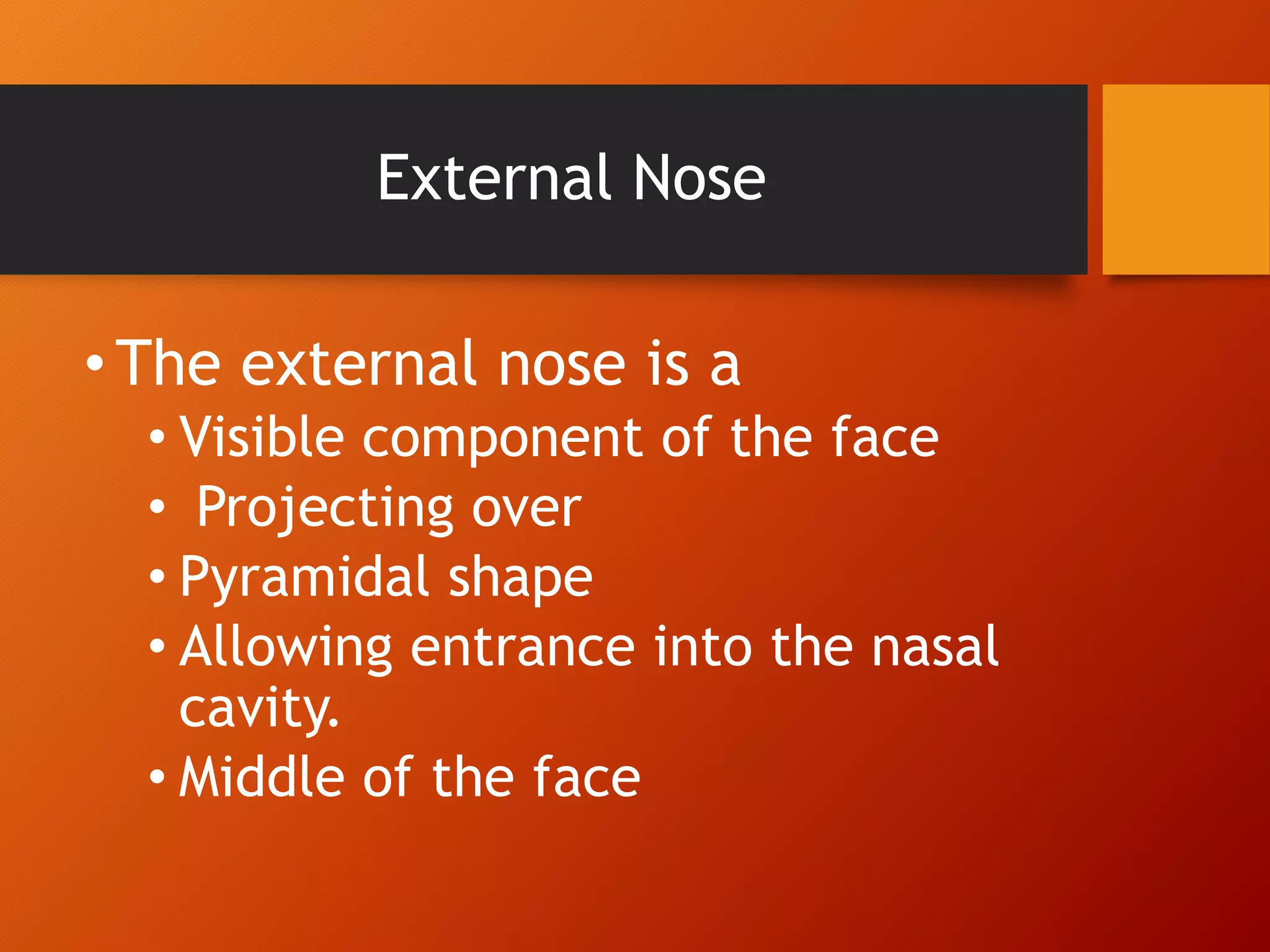 Nose and nasal cavity anatomy | PPTX
