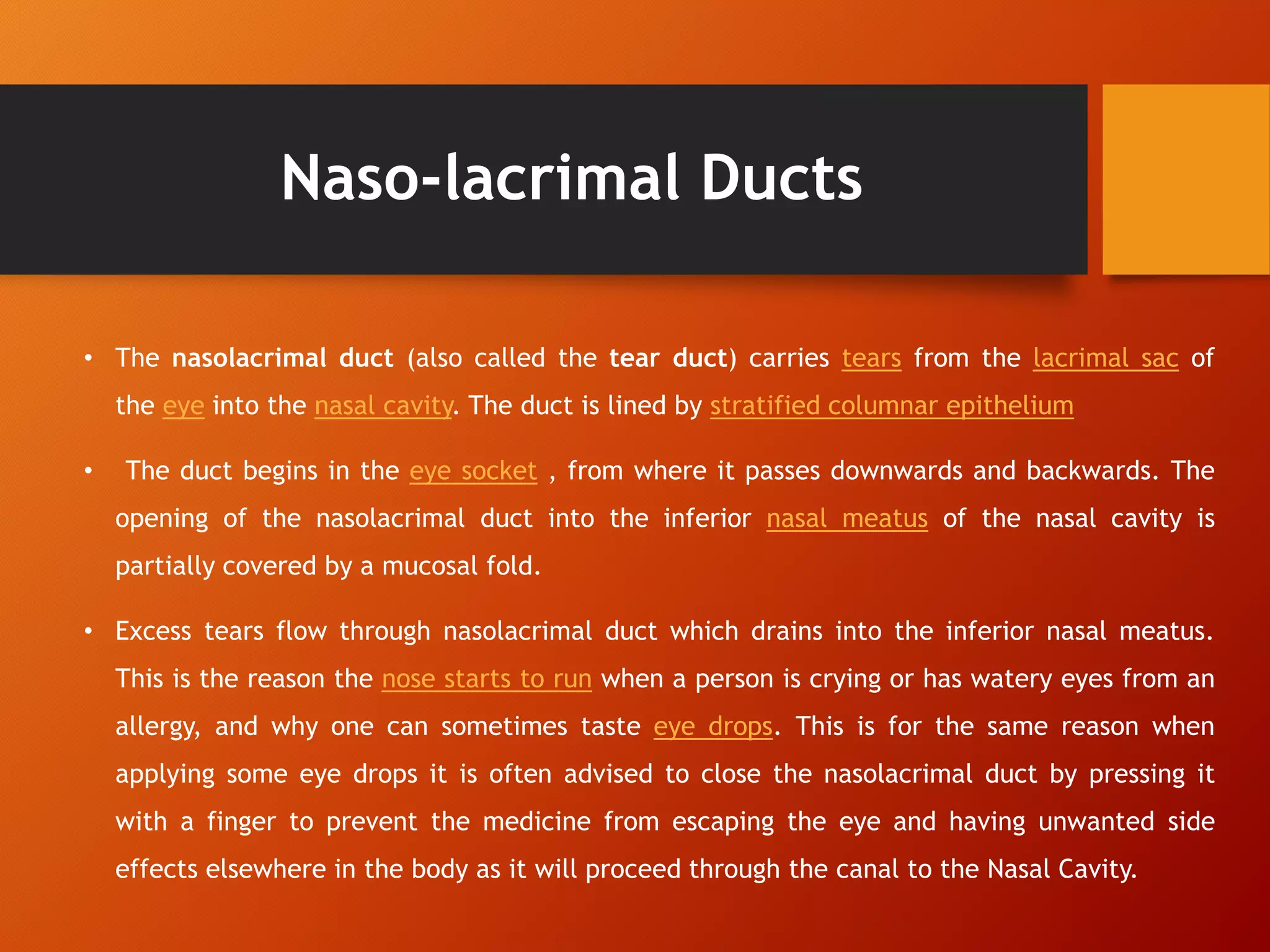 Nose and nasal cavity anatomy | PPTX