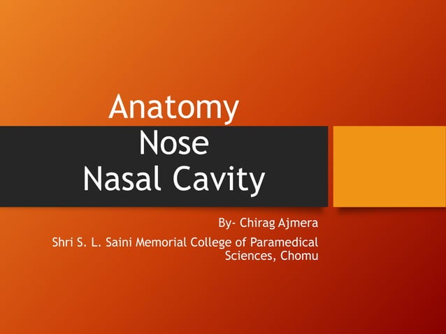Nose and nasal cavity anatomy | PPTX