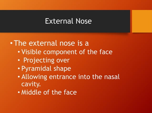 Nose and nasal cavity anatomy | PPTX