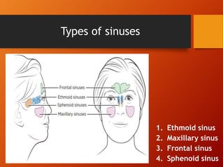 Nose and nasal cavity anatomy | PPTX