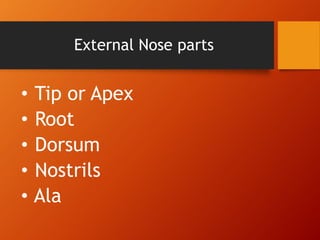 Nose and nasal cavity anatomy | PPTX