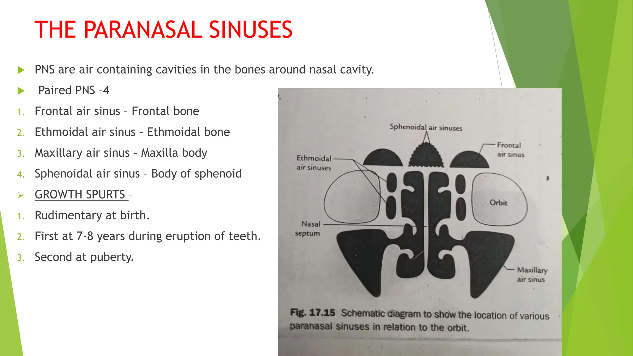 NOSE AND PARANASAL sinuses PPT & diagrams | PPTX
