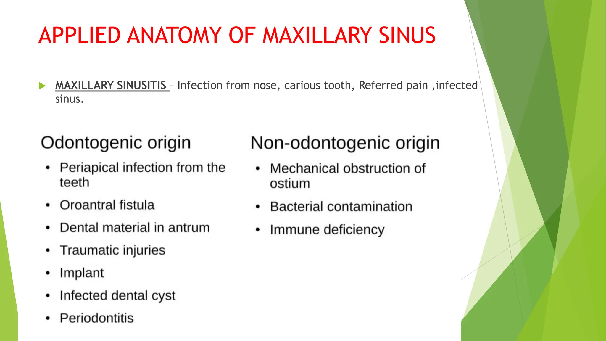 NOSE AND PARANASAL sinuses PPT & diagrams | PPTX