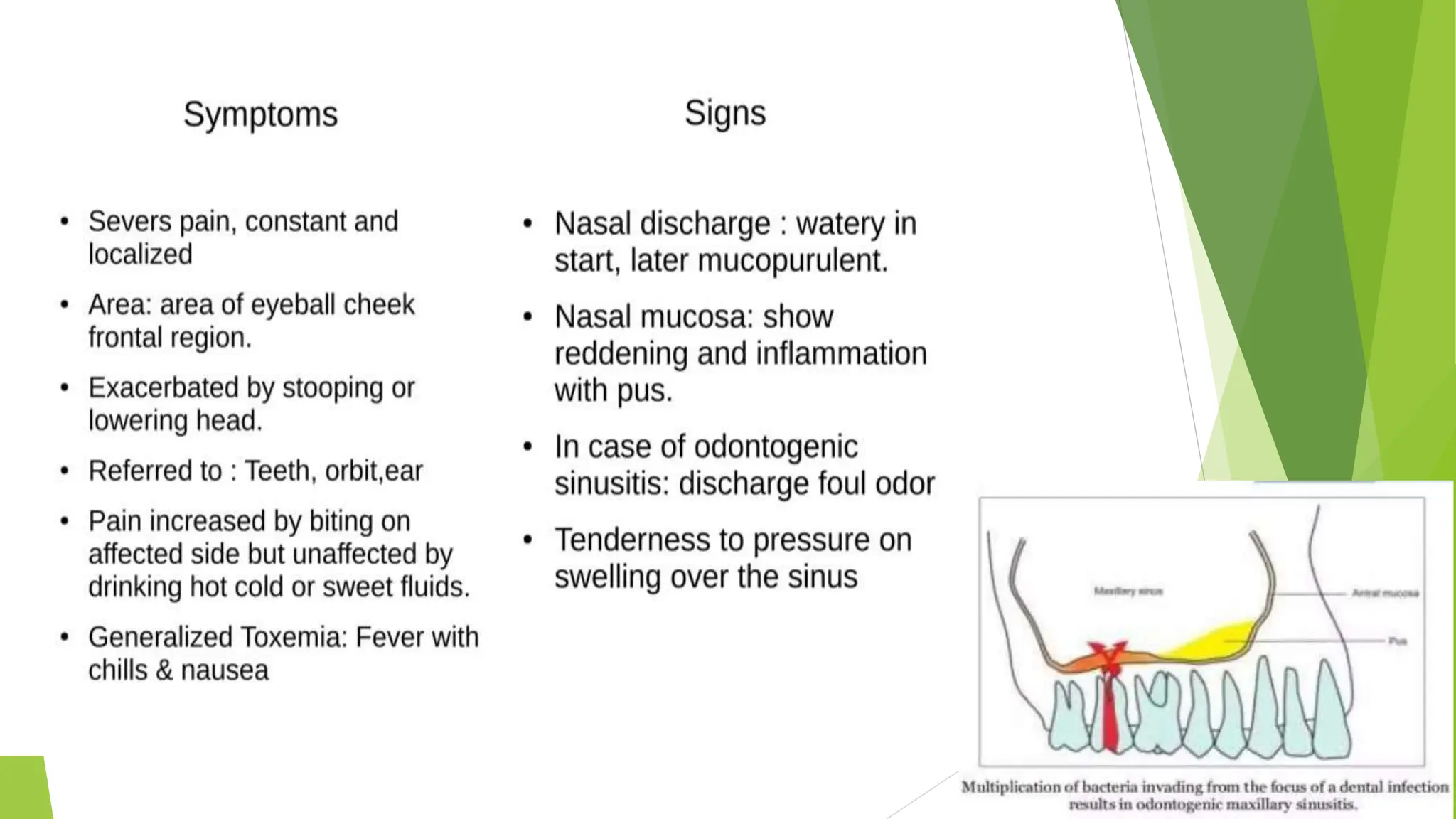 NOSE AND PARANASAL sinuses PPT & diagrams | PPT
