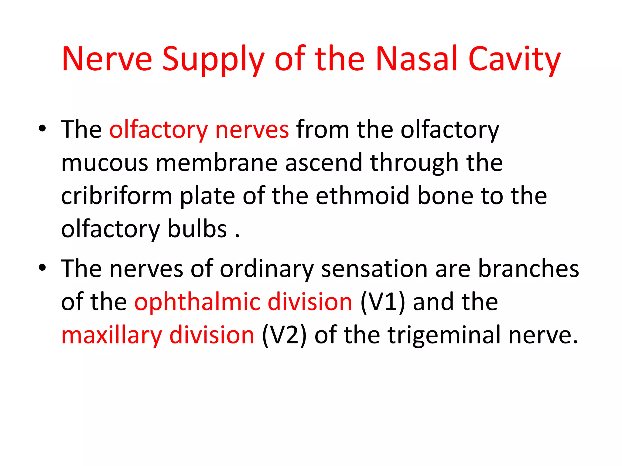 Nose and Paranasal Sinus.pptx