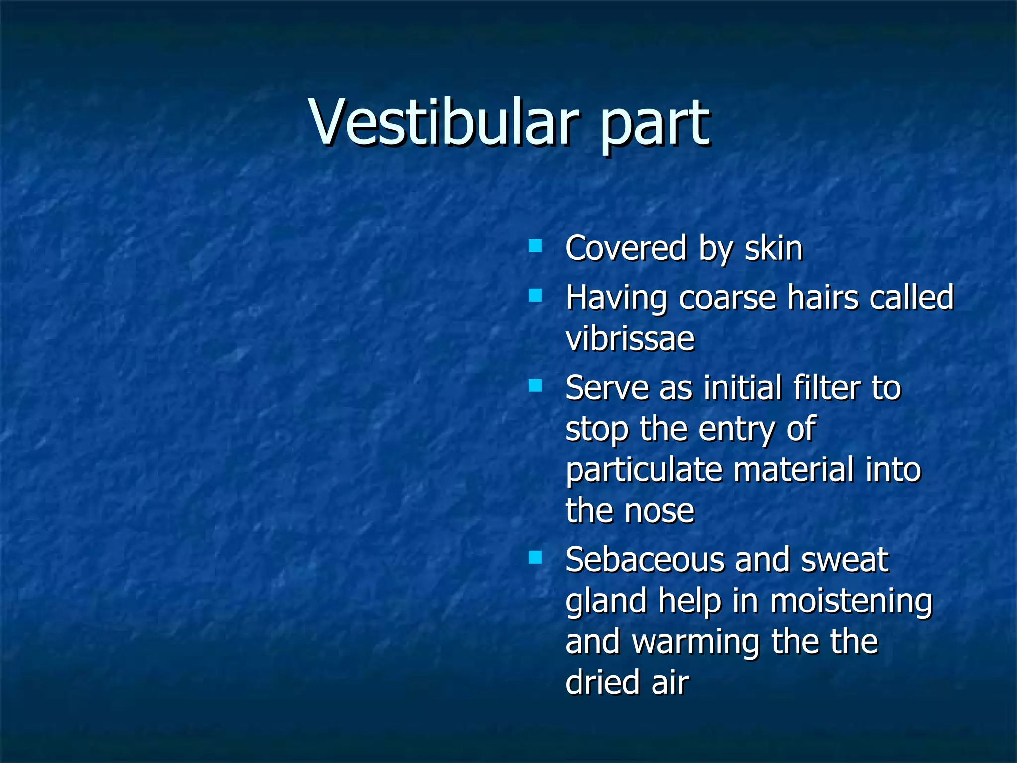 Nose And Paranasal Sinusefinal | PPT
