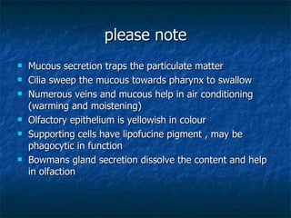 Nose And Paranasal Sinusefinal | PPT