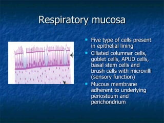 Nose And Paranasal Sinusefinal | PPT