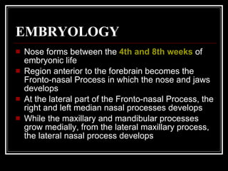 Nose and paranasal sinuses | PPT