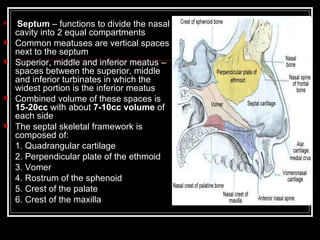 Nose and paranasal sinuses | PPT