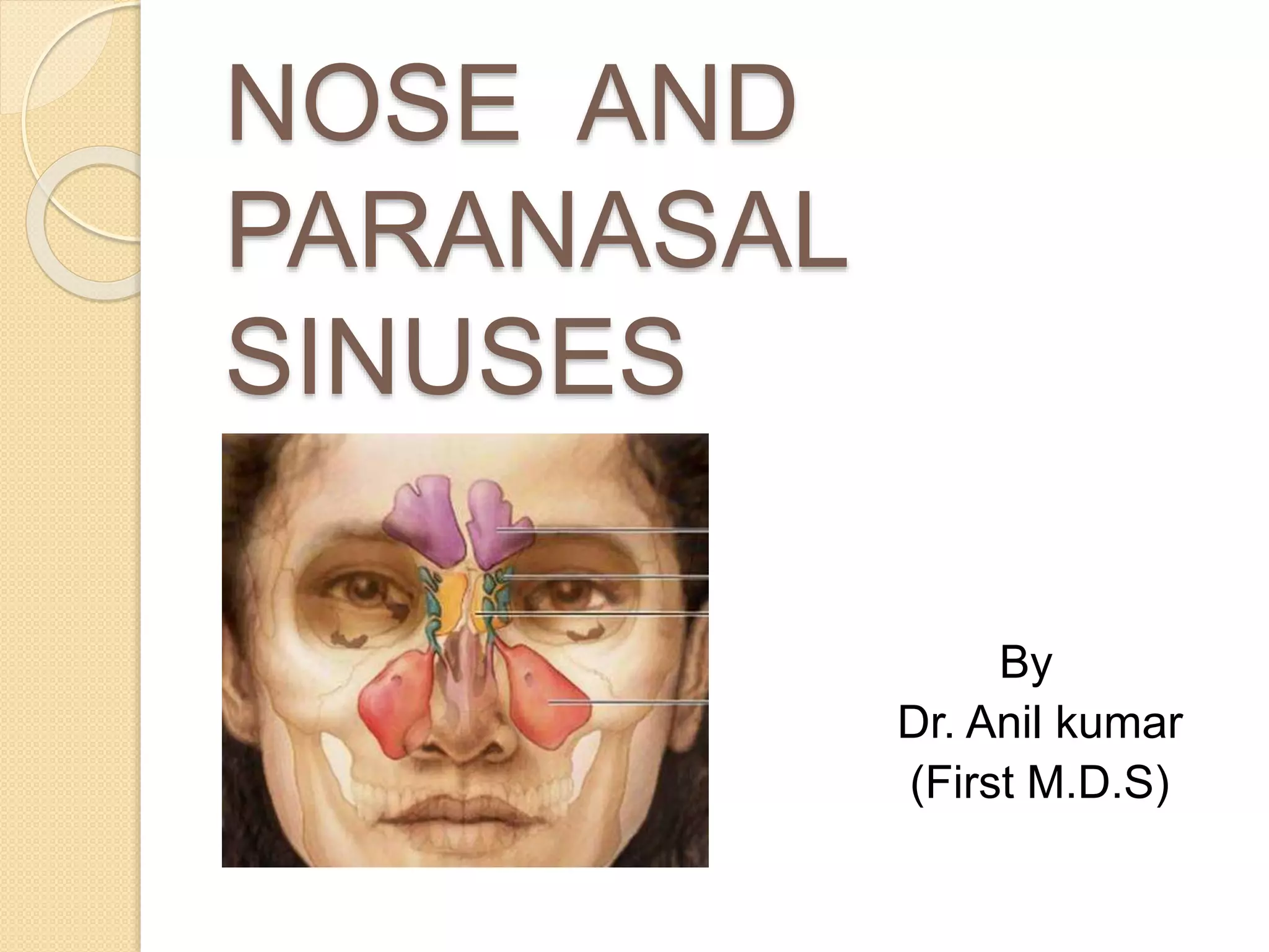 Nose and paranasal sinuses | PPTX