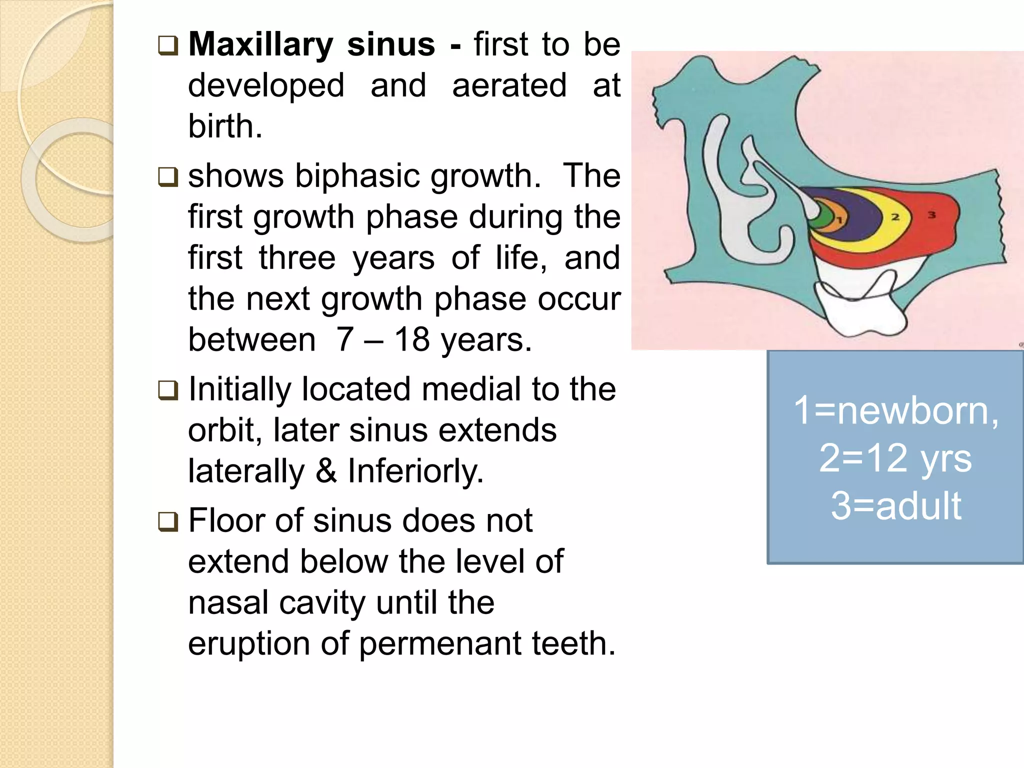 Nose and paranasal sinuses | PPTX