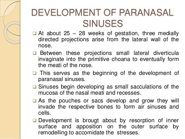 Nose and paranasal sinuses