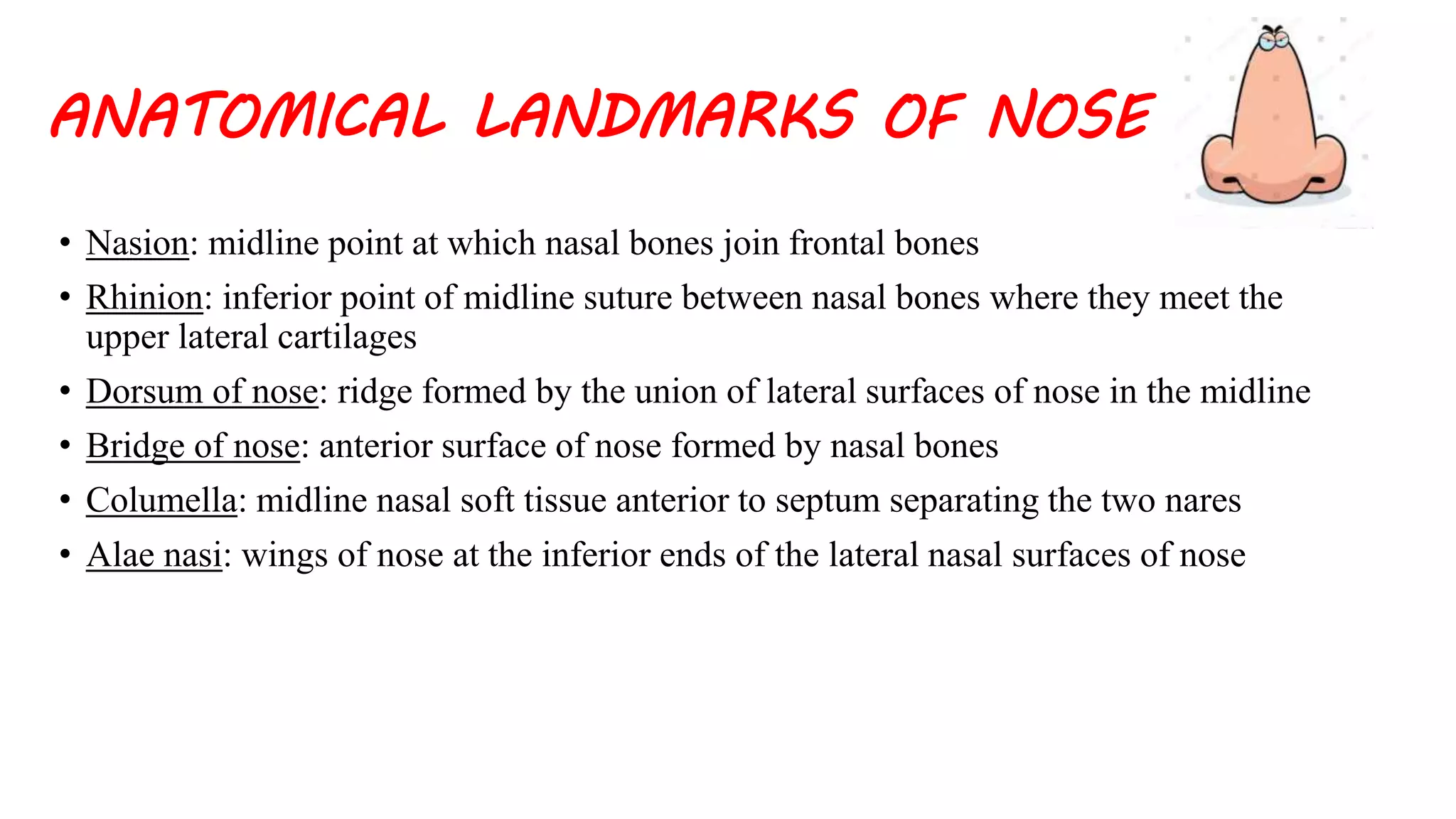 Nose and paranasal sinuses. | PPTX