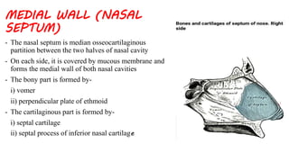 Nose and paranasal sinuses. | PPTX