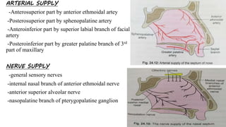 Nose and paranasal sinuses. | PPTX