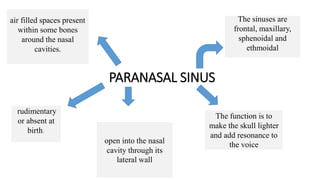 Nose and paranasal sinuses. | PPTX
