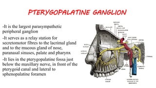Nose and paranasal sinuses. | PPTX
