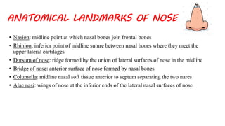 Nose and paranasal sinuses. | PPTX | Ear, Nose and Throat Conditions ...