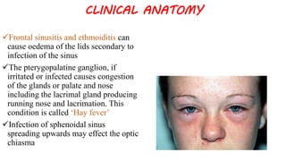Nose and paranasal sinuses. | PPTX