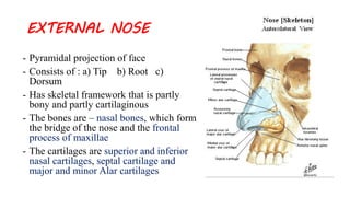 Nose and paranasal sinuses. | PPTX