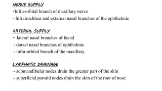 Nose and paranasal sinuses. | PPTX