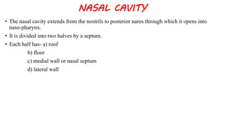 Nose and paranasal sinuses. | PPTX