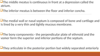 Nose and paranasal sinuses ( head anatomy) | PPTX
