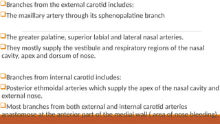 Nose and paranasal sinuses ( head anatomy) | PPT