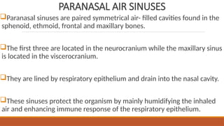 Nose and paranasal sinuses ( head anatomy) | PPT