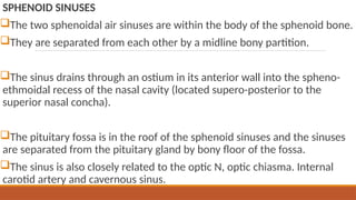 Nose and paranasal sinuses ( head anatomy) | PPTX