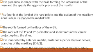 Nose and paranasal sinuses ( head anatomy) | PPTX